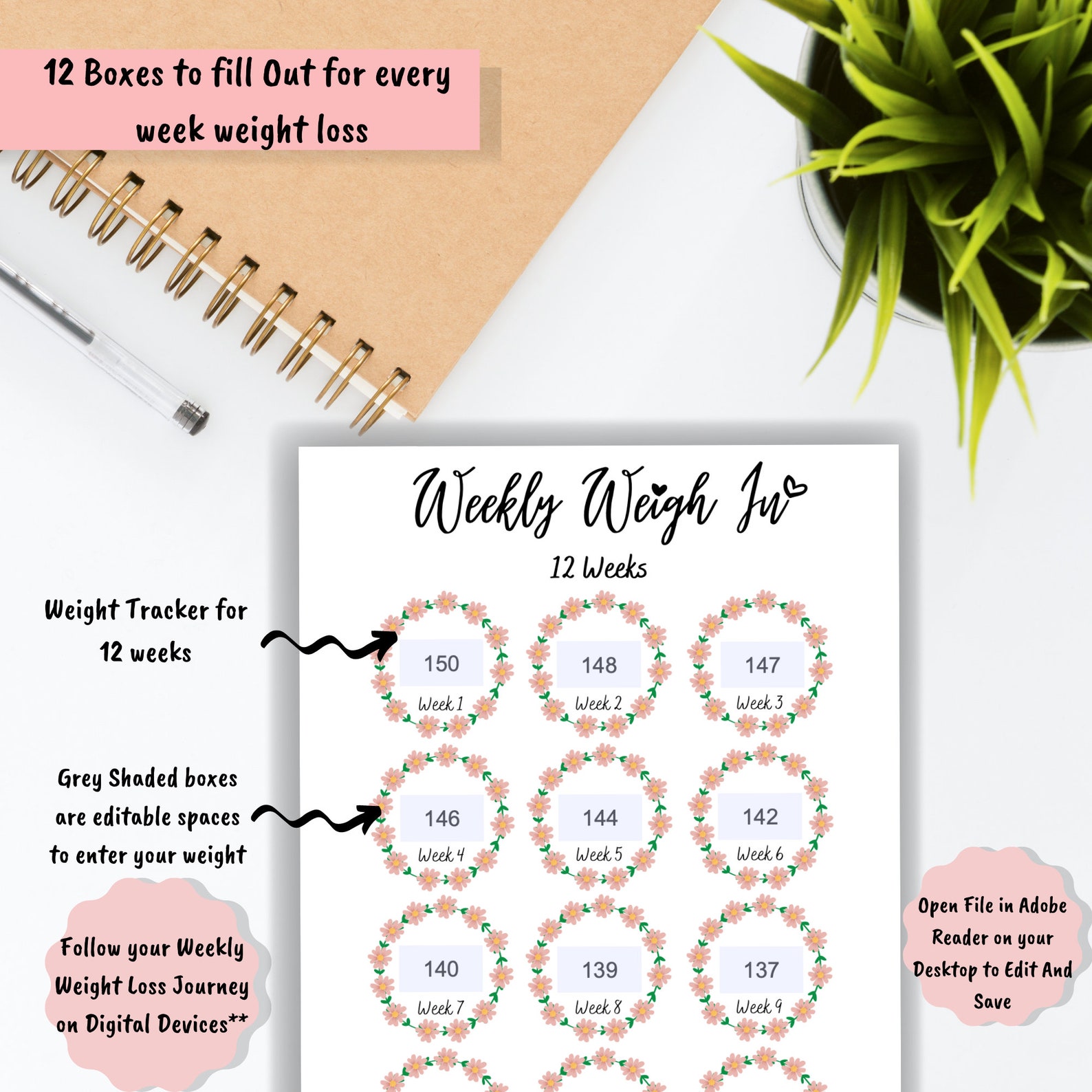 EDITABLE PDF Weight Loss Tracker 12 Weeks, Weight Loss Chart ...