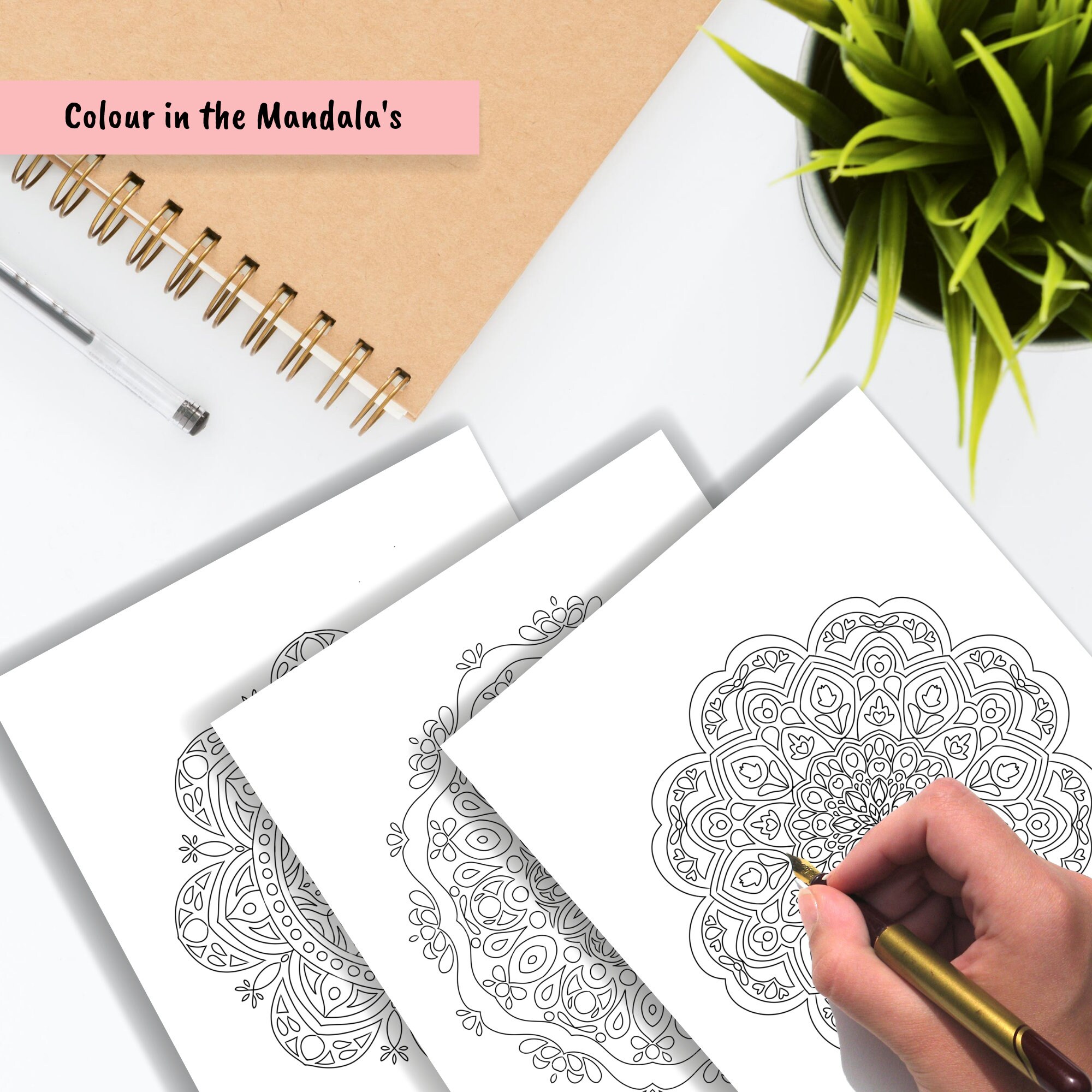 Mandala Coloring 10 Pages Printable, Mental Health, Relaxing Coloring ...
