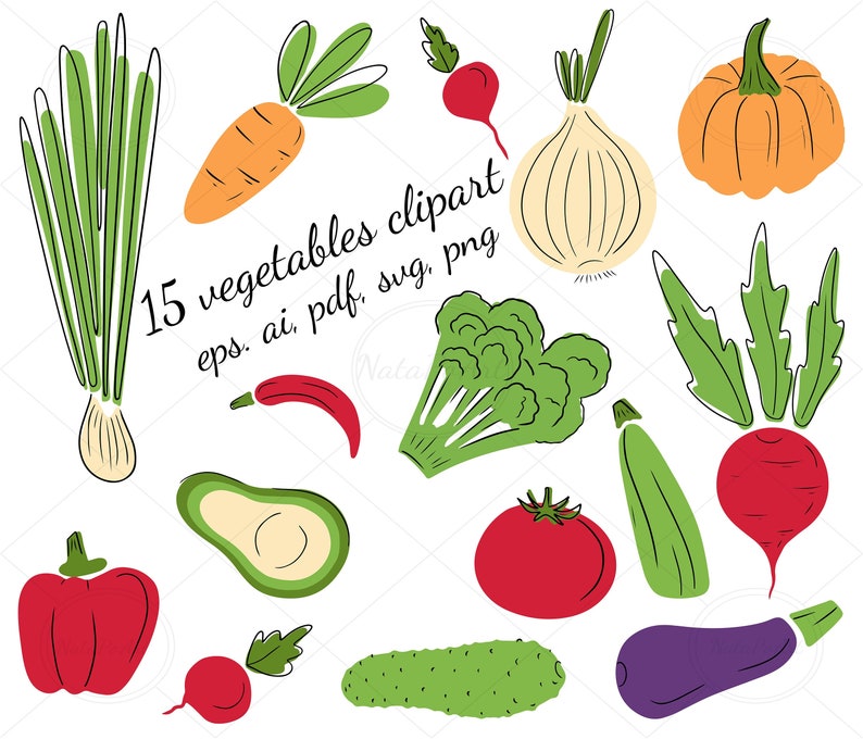 Vegetables Bundle Clipart. Food Vector Cooking Illustration, Botanical ...
