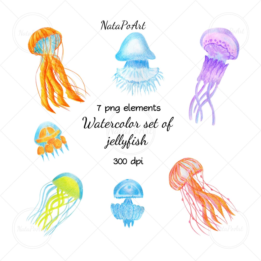 Watercolor Hand Drawn Colorful Jellyfish Clip Art. Ocean Life, Animals ...