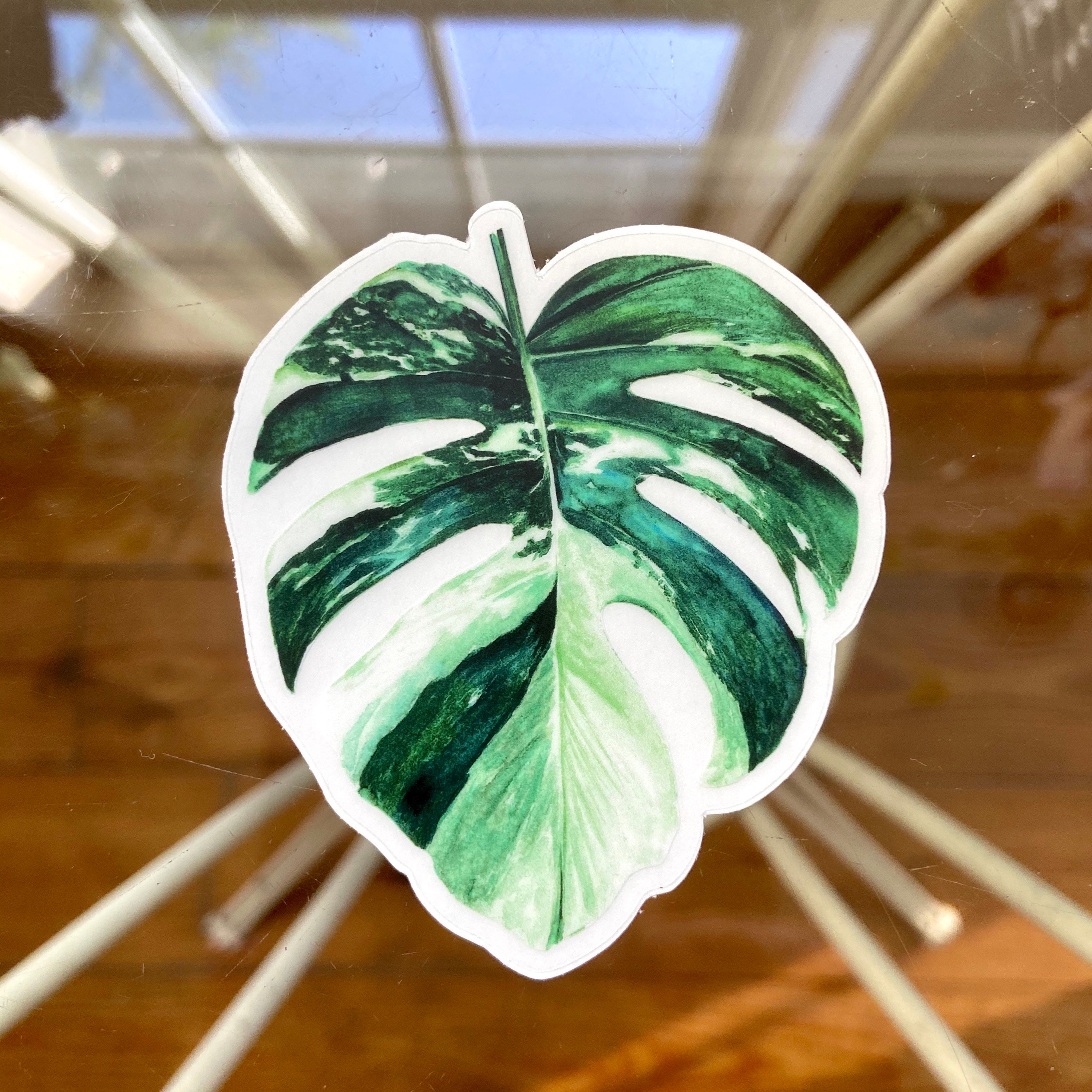 Monstera Albo Sticker Decal, Plant Sticker Decal, Monstera Albo Plant ...