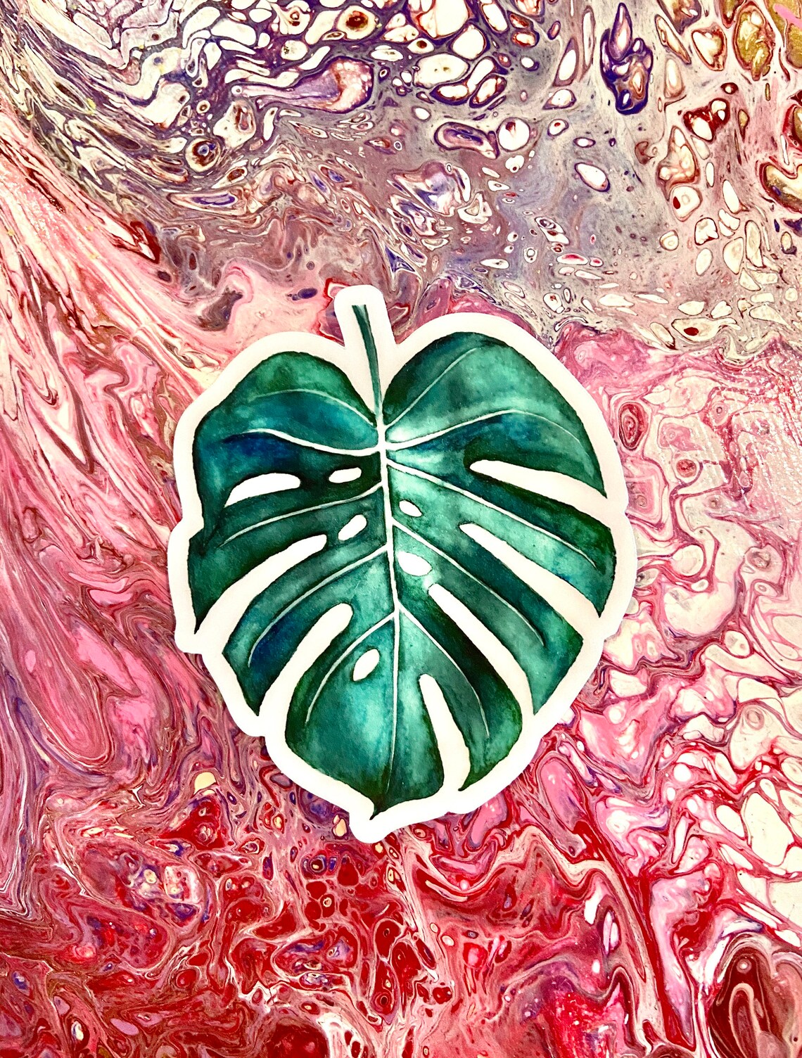 Monstera Sticker Decal Monstera Plant Sticker Decal Monstera - Etsy