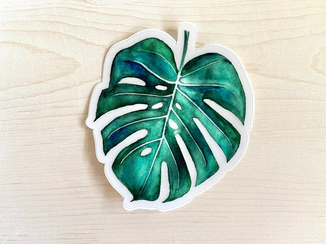 Monstera Sticker Decal, Monstera Plant Sticker Decal, Monstera ...