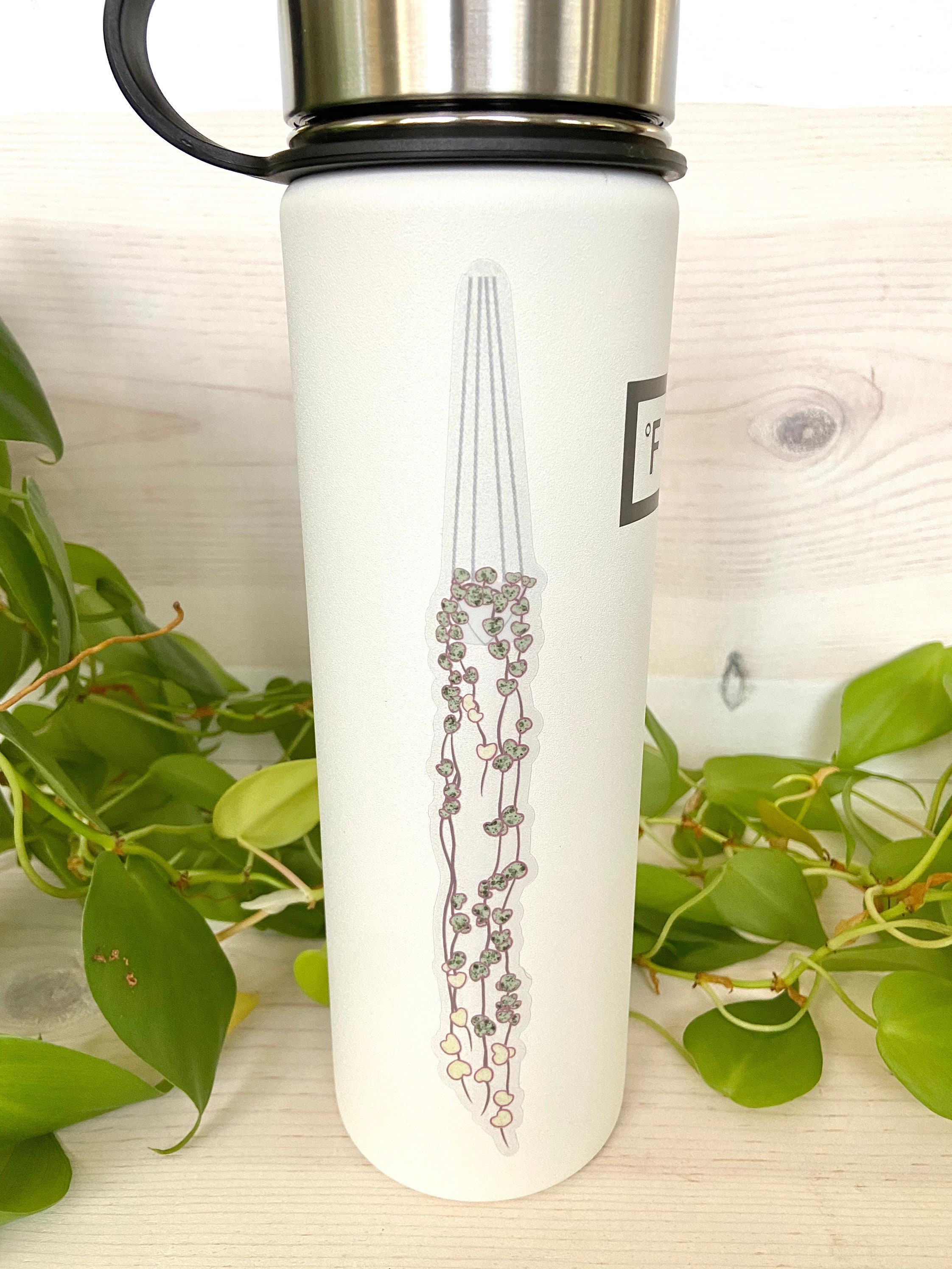 Variegated String of Hearts Sticker Decal Botanical Sticker | Etsy