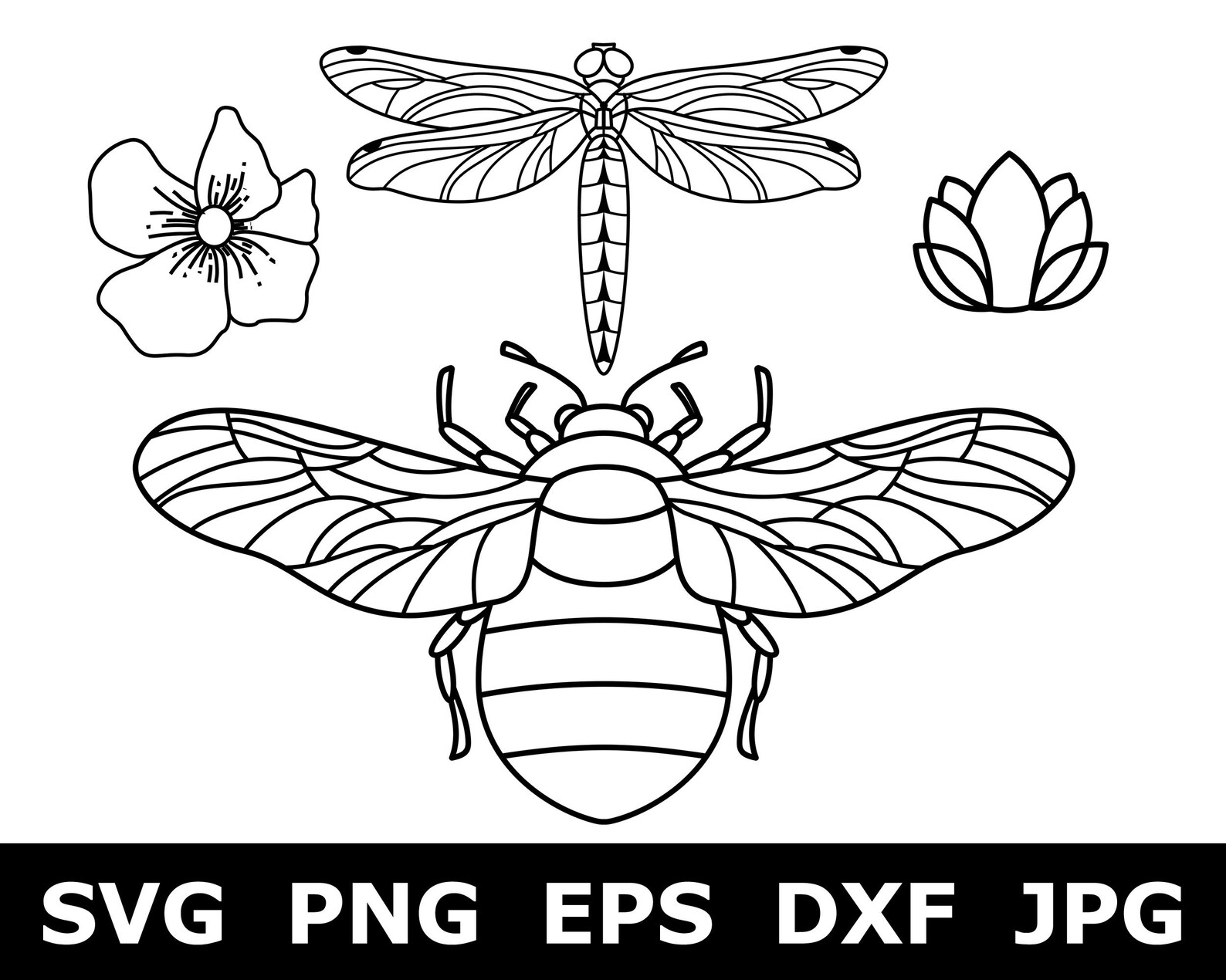 Bug Dragonfly Insects SVG Flower Svg Insect Svg Bugs Vector Files ...