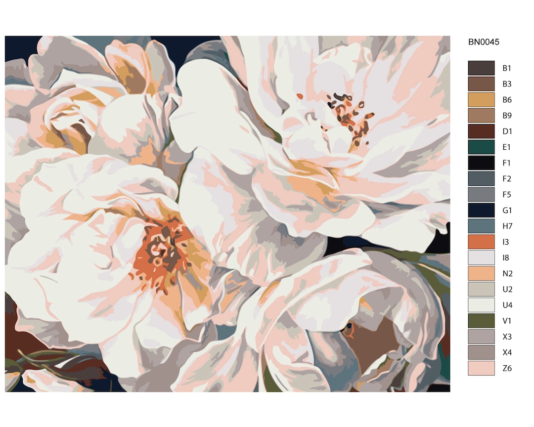 White Peonies Paint by Numbers DIY Kit Painting by Number Floral Paint ...