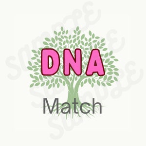 Design 6 | Organise Digital Family Trees With Original Genealogist DNA ...