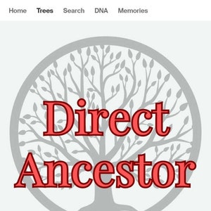 Organise Digital Family Trees With Original Direct Ancestor Icons ...