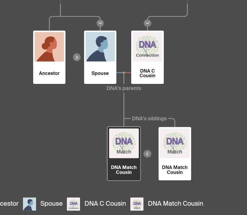 Design 4b Organise Digital Family Trees With Original Genealogist DNA ...