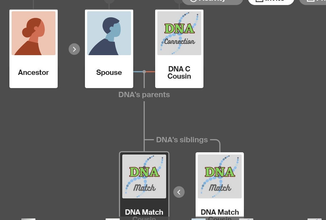 Design 3a Organise Digital Family Trees With Original Genealogist DNA ...