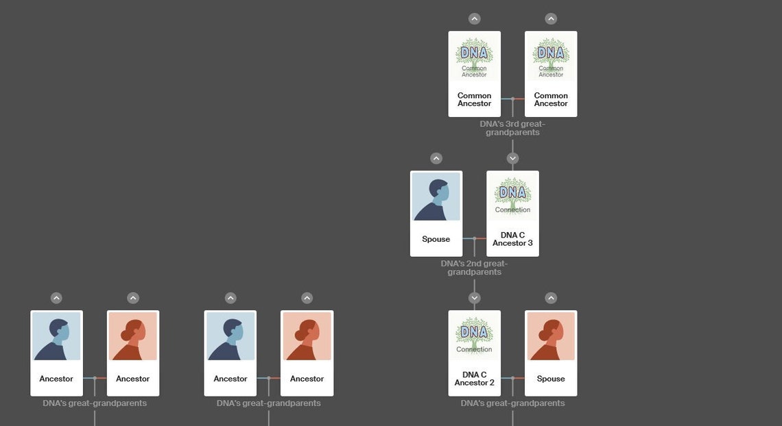 Design 6 Organise Digital Family Trees With Original Genealogist DNA ...