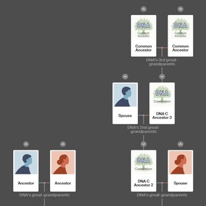 Design 6 | Organise Digital Family Trees With Original Genealogist DNA ...