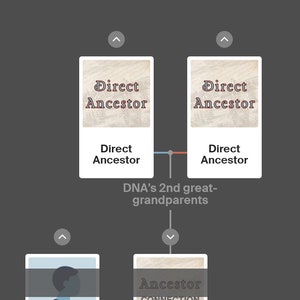 VINTAGE 2 - Original Direct Ancestor Icons | Organise Digital Family ...