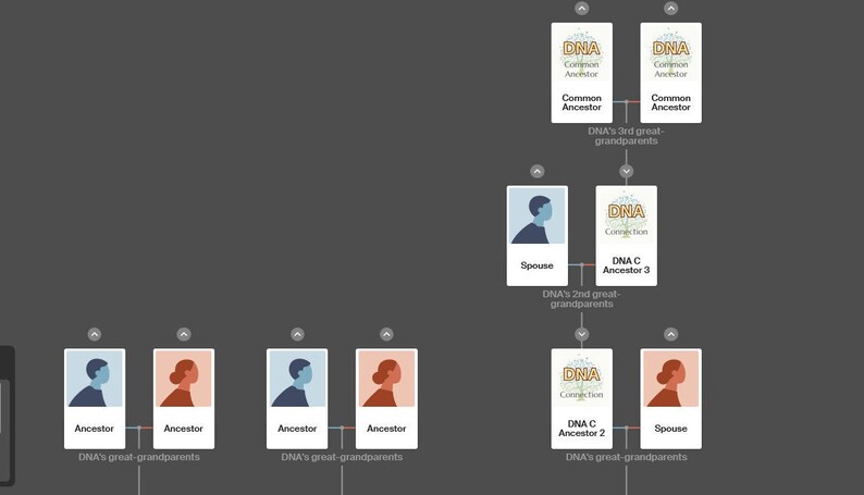 Design 5a | Organise Digital Family Trees With Original Genealogist DNA ...