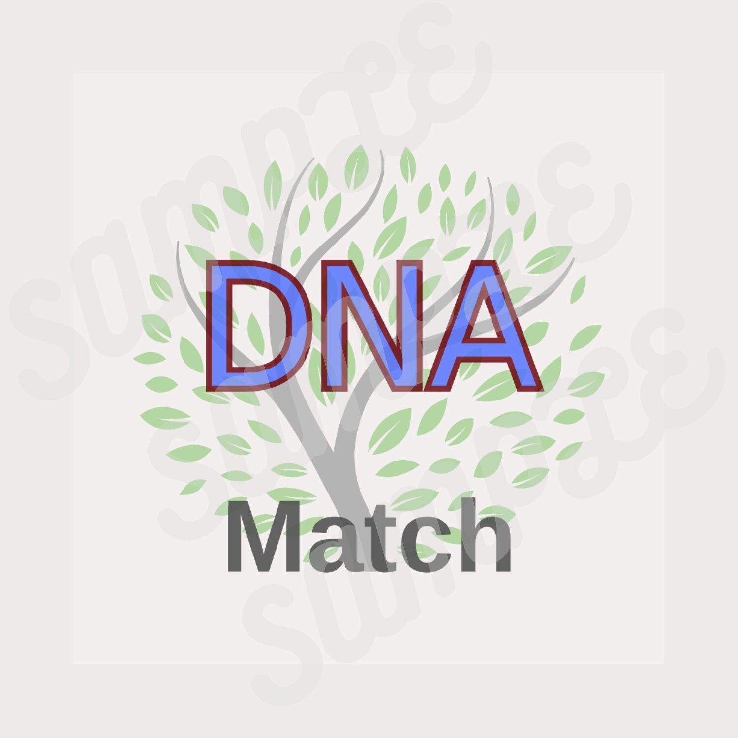 Design 4b Organise Digital Family Trees With Original Genealogist DNA ...