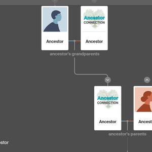 Organise Digital Family Trees With Original Ancestor Connection Icons ...