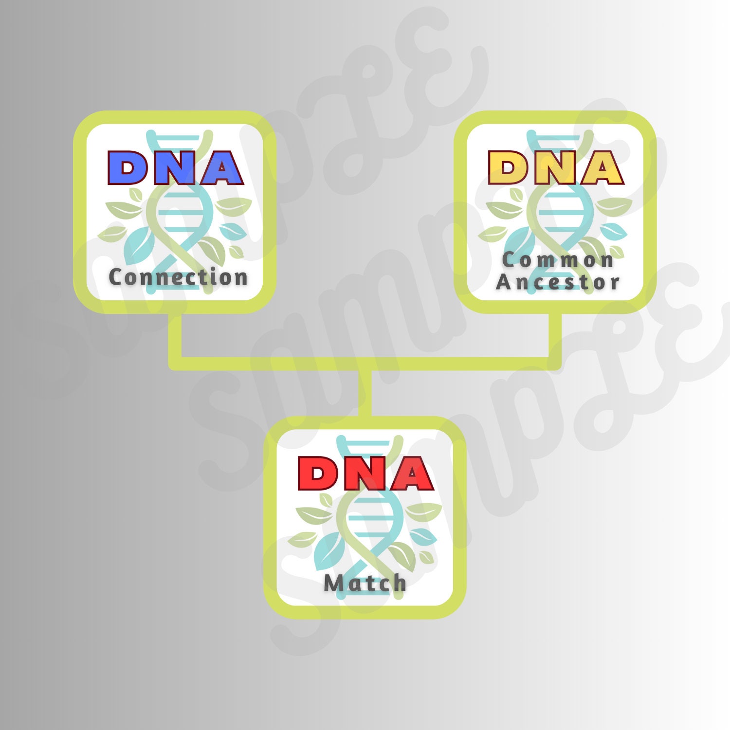 Design 7 Organise Digital Family Trees With Original Genealogist DNA ...