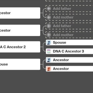 Design 7 | Organise Digital Family Trees With Original Genealogist DNA ...