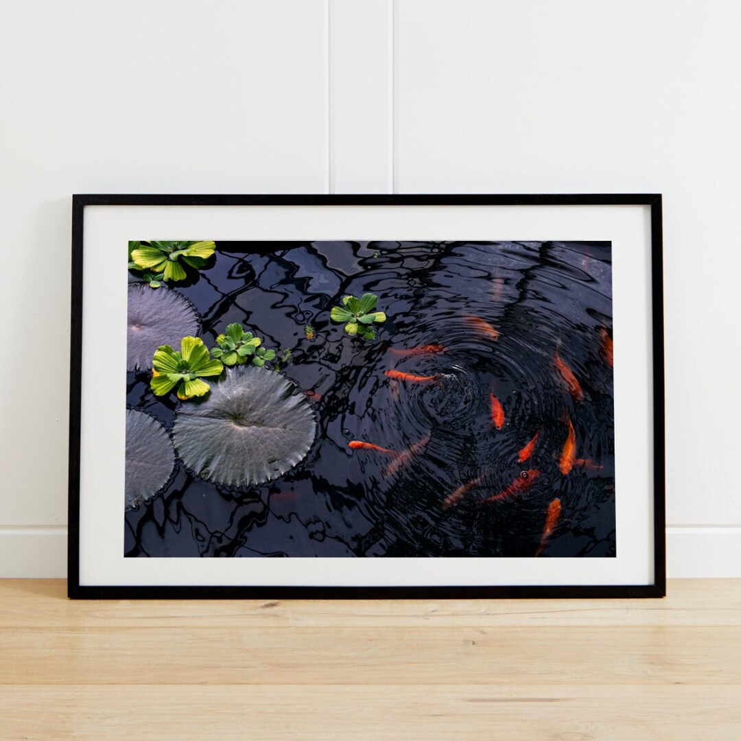 Fibonacci Fish Wall Art Unframed Nature Reflections Photograph Multiple ...