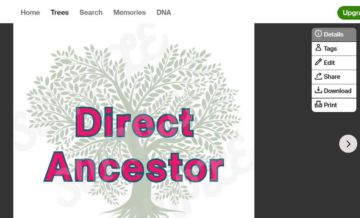 Organise Digital Family Trees With Original Direct Ancestor Icons ...