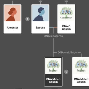 Design 6 | Organise Digital Family Trees With Original Genealogist DNA ...