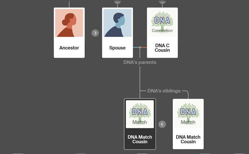 Design 6 | Organise Digital Family Trees With Original Genealogist DNA Icons | Images Designed ...