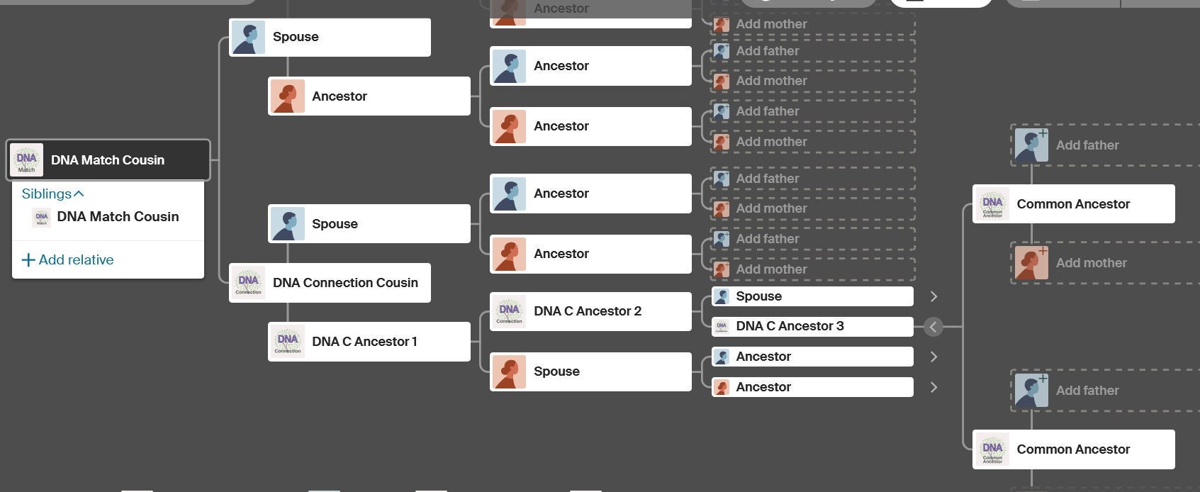 Design 4b Organise Digital Family Trees With Original Genealogist DNA ...