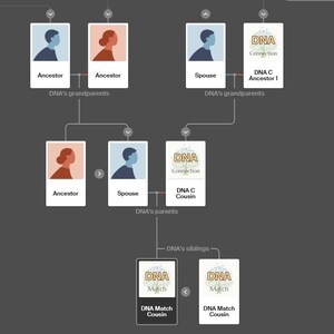 Design 5a | Organise Digital Family Trees With Original Genealogist DNA ...
