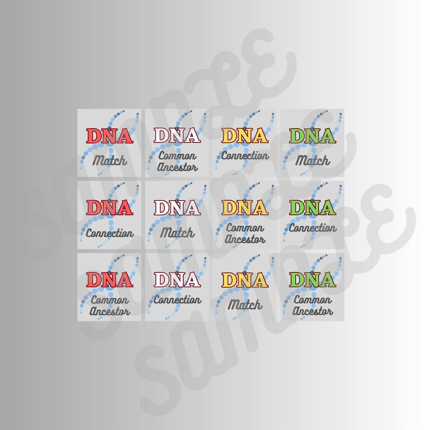 Design 3a Organise Digital Family Trees With Original Genealogist DNA ...