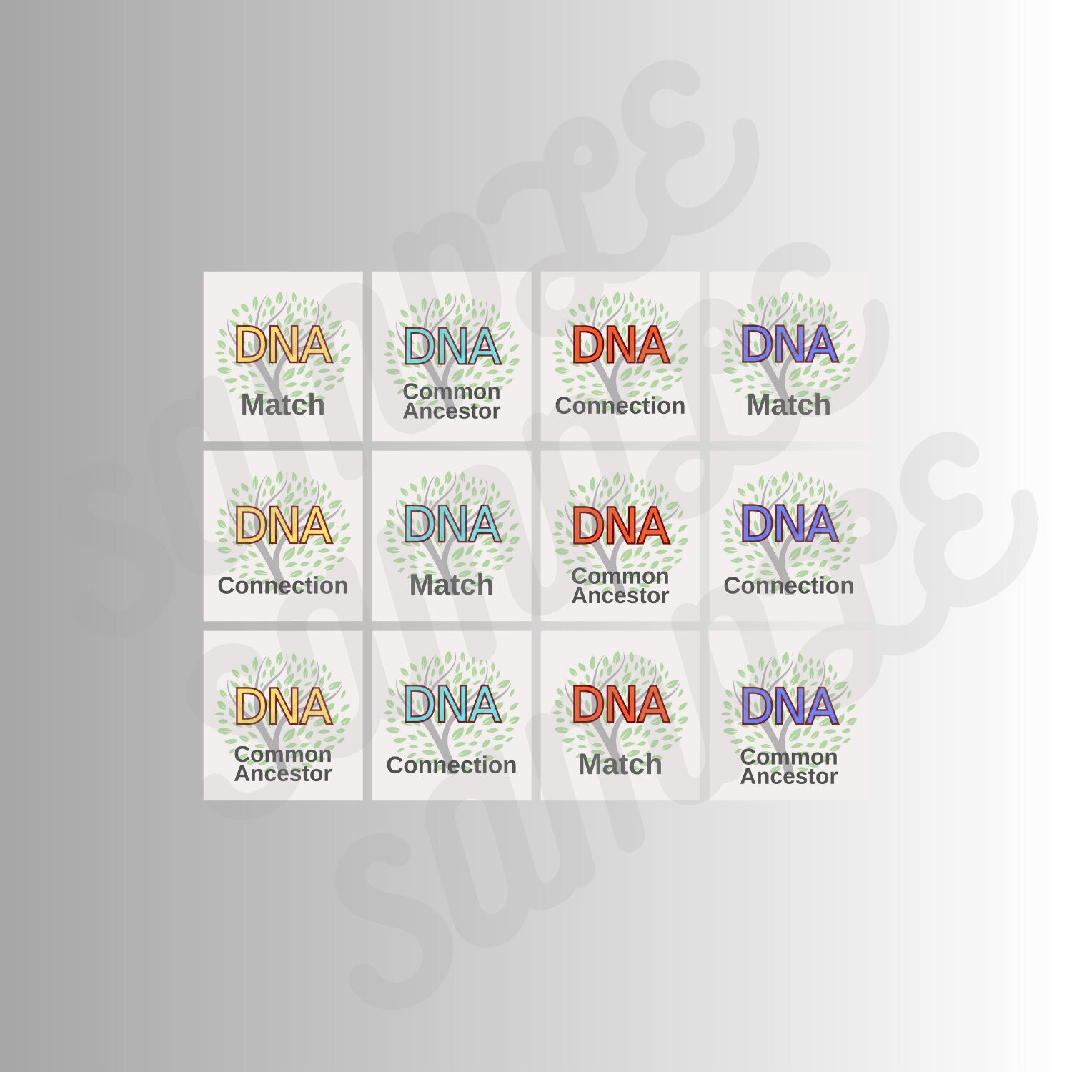 Design 4b Organise Digital Family Trees With Original Genealogist DNA ...