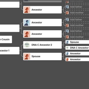 Design 6 | Organise Digital Family Trees With Original Genealogist DNA ...