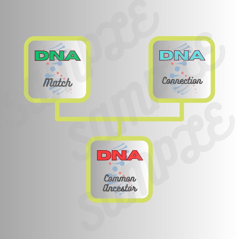 Design 5b | Organise Digital Family Trees With Original Genealogist DNA ...