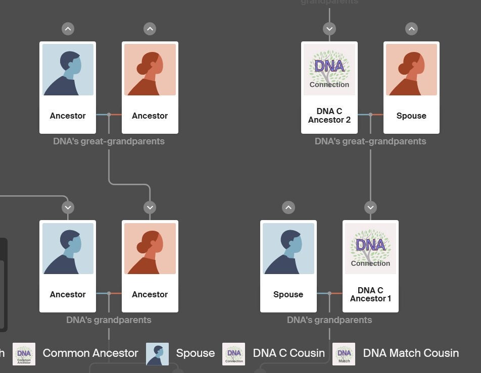 Design 4b Organise Digital Family Trees With Original Genealogist DNA Icons Images Designed to ...