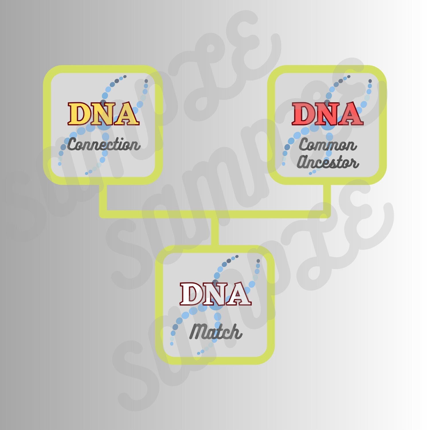 Design 3a | Organise Digital Family Trees With Original Genealogist DNA ...