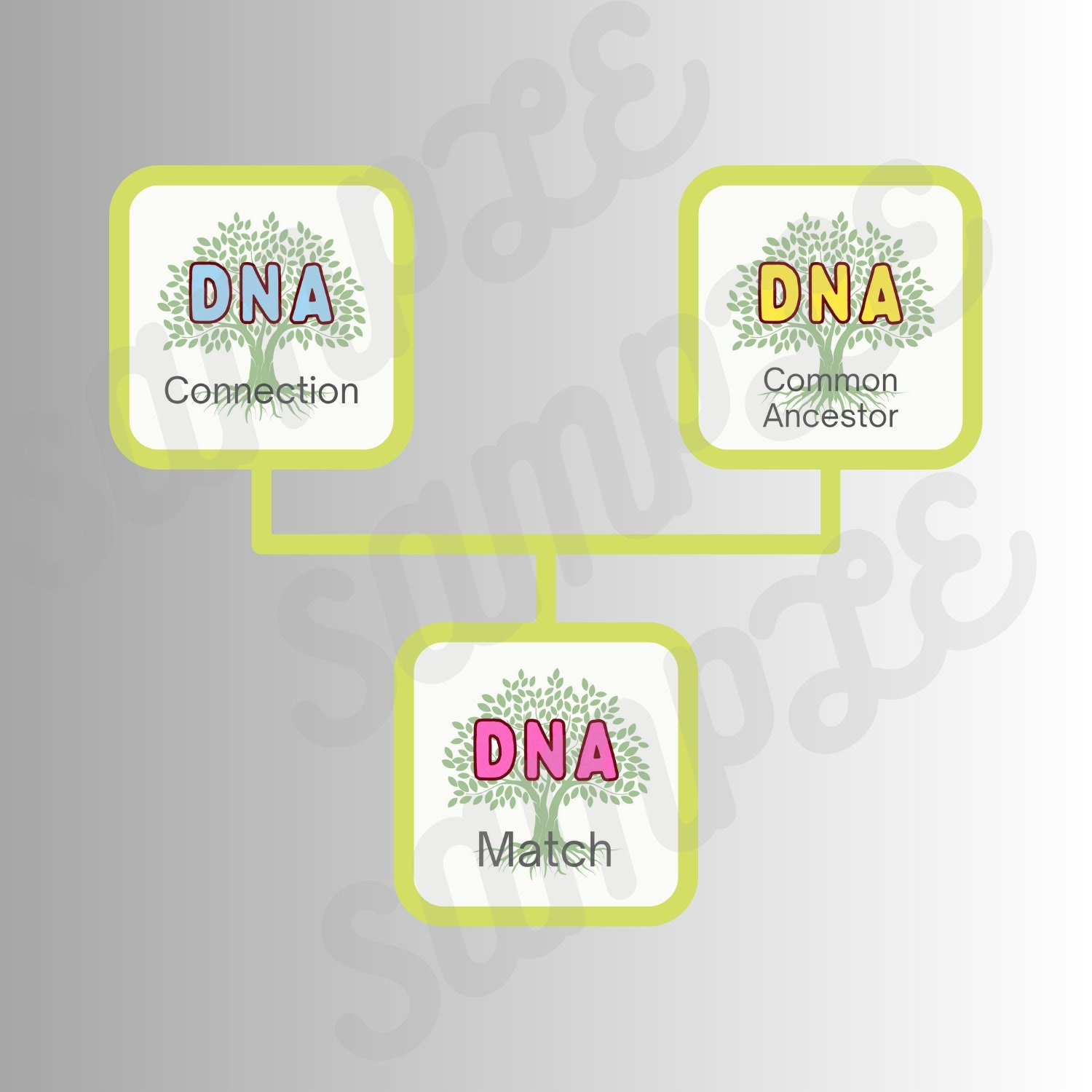 Design 6 | Organise Digital Family Trees With Original Genealogist DNA ...