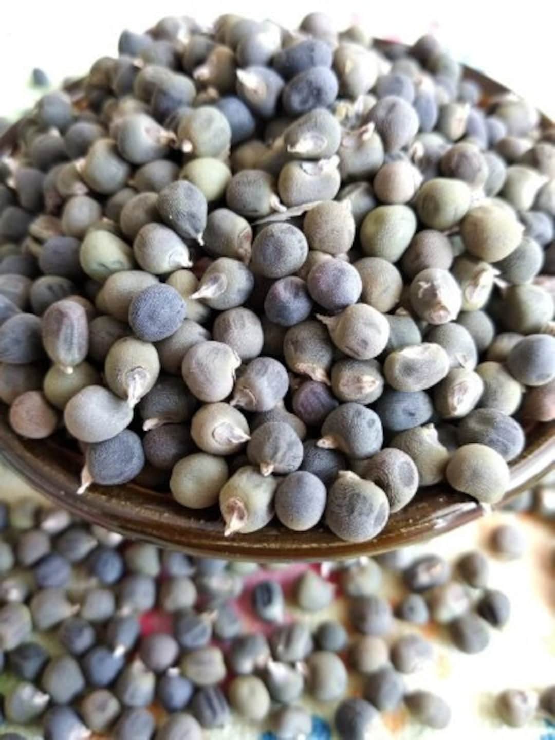 Okra Seeds