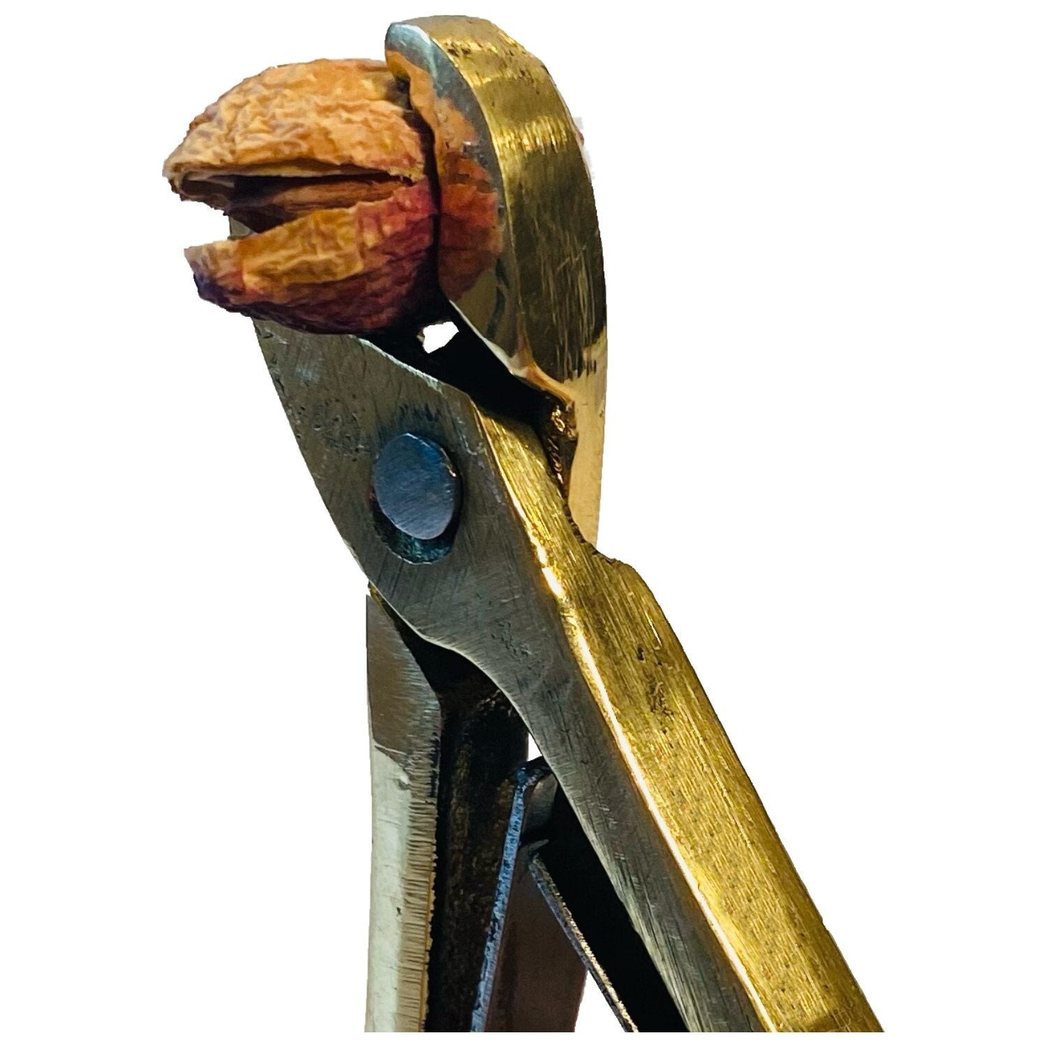 Nut Cracker Walnut Opener Pistachio With Stainless Steel Handle ...