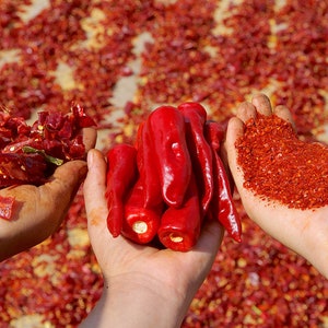 Red Pepper Powder, Sweet Pepper Powder, Delicious Spices, Anatolian ...
