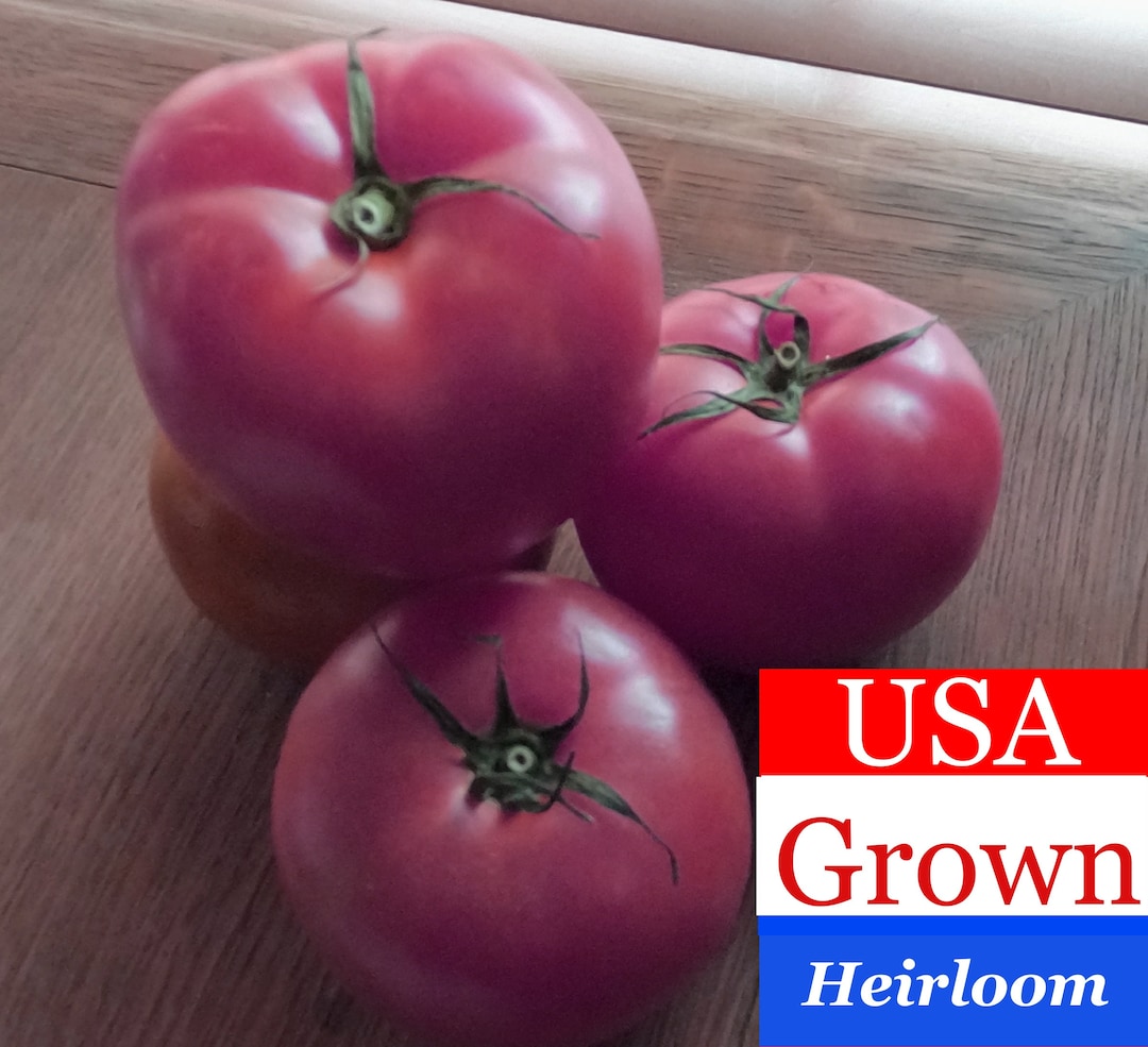 39 Cherokee Tomato Seeds Rare American Hierloom - Etsy