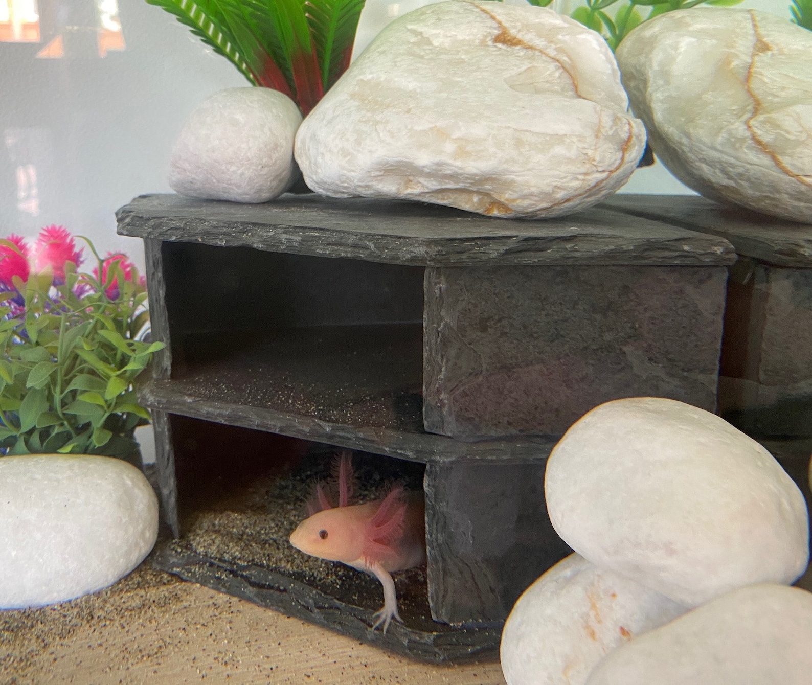 Natural SLATE Stone Rock Cave for Pleco Aquarium Fish Tank or Reptile ...