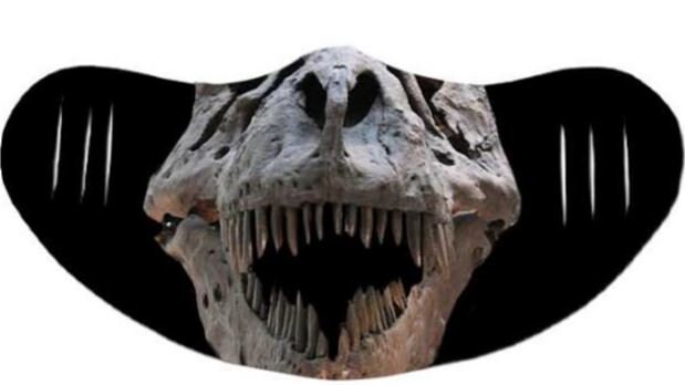 Dinosaur Fabric Face Mask, Kids & Adults, Washable and Reusable Face ...