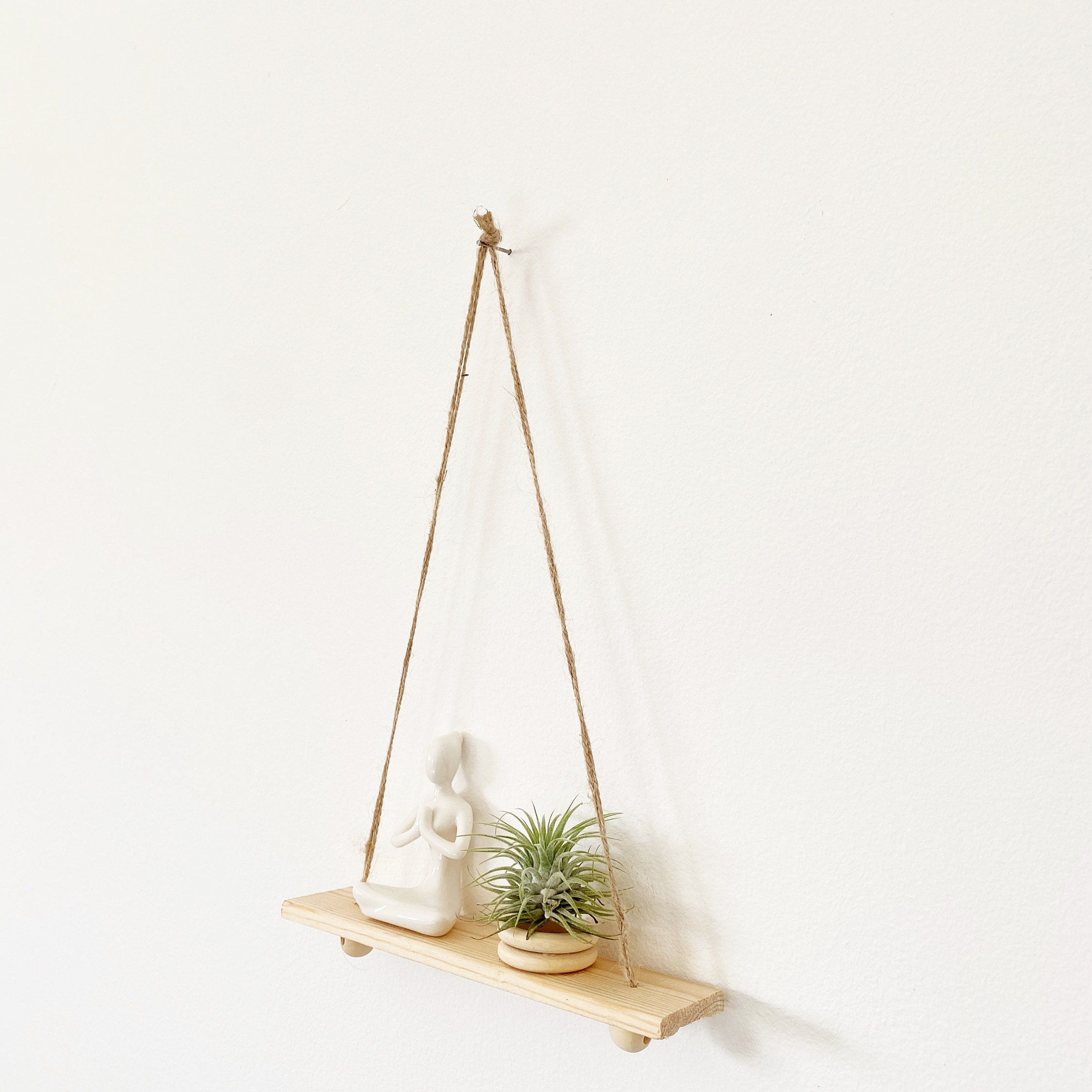 Air Plant Window Display - Etsy