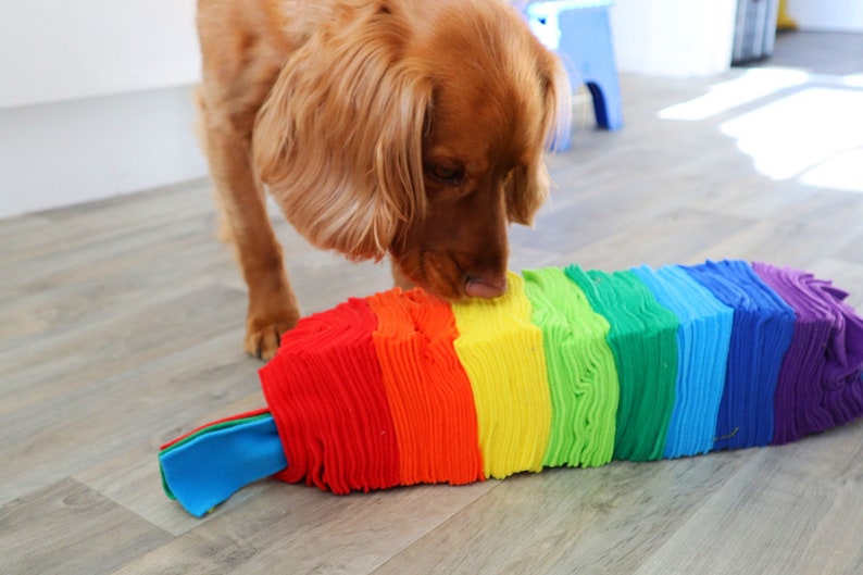 Snuffle Ball & Snuffle Roll Enrichment Dog Toy Set | Custom Colours ...