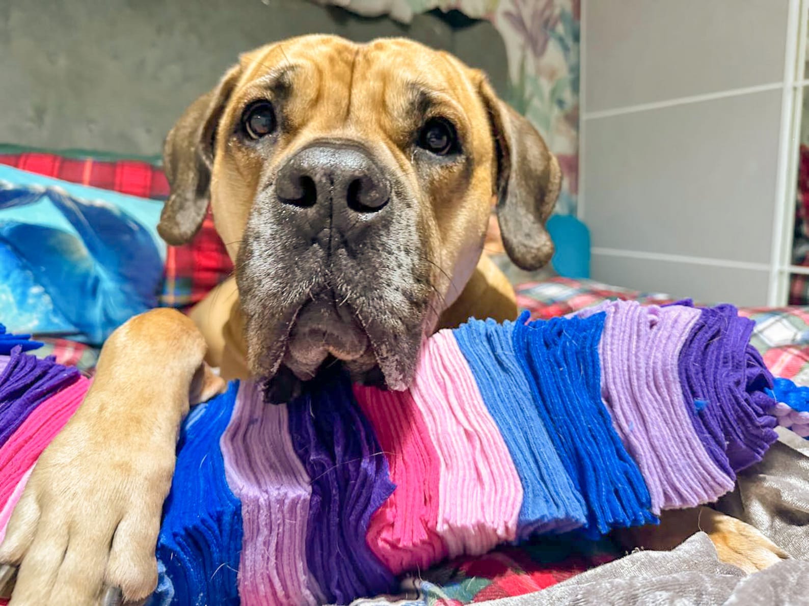 CUSTOM COLOUR Snuffle Roll + Tug Toy Enrichment Dog Toy | Slow Feeder ...