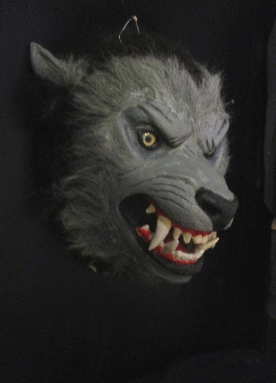 Life Size American Werewolf Kessler Wolf 3/4 Head - Etsy