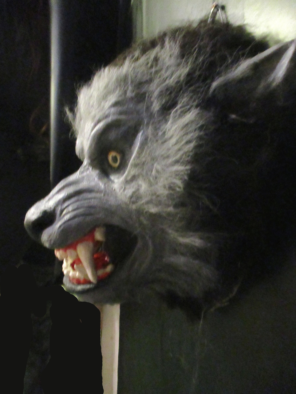 Life Size American Werewolf Kessler Wolf 3/4 Head - Etsy