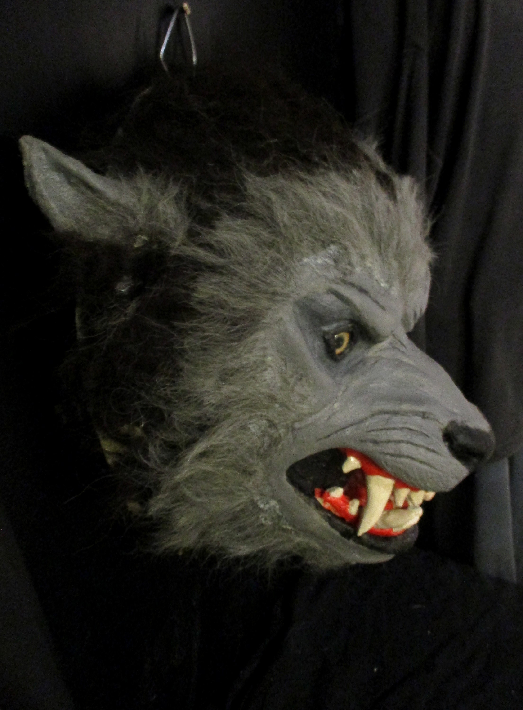 Life Size American Werewolf Kessler Wolf 3/4 Head | Etsy UK