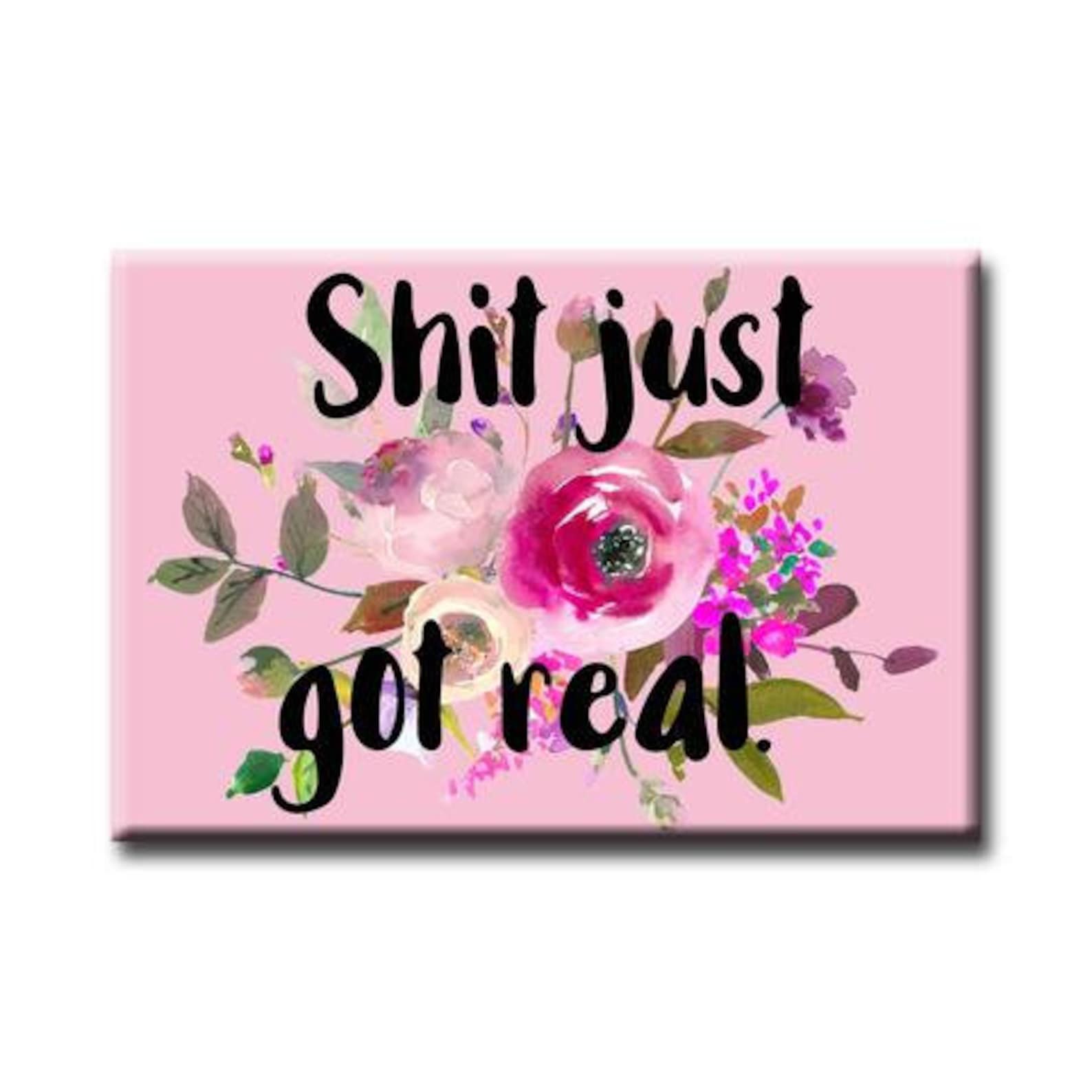 Shit Just Got Real Magnet - Etsy
