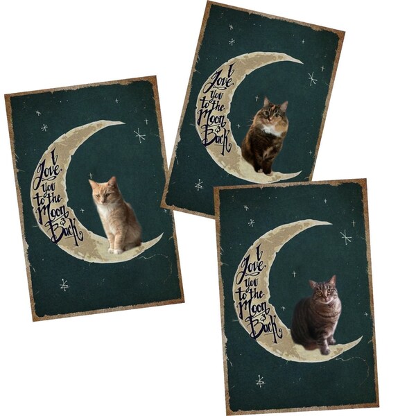 Cat Wall Plaques - Etsy