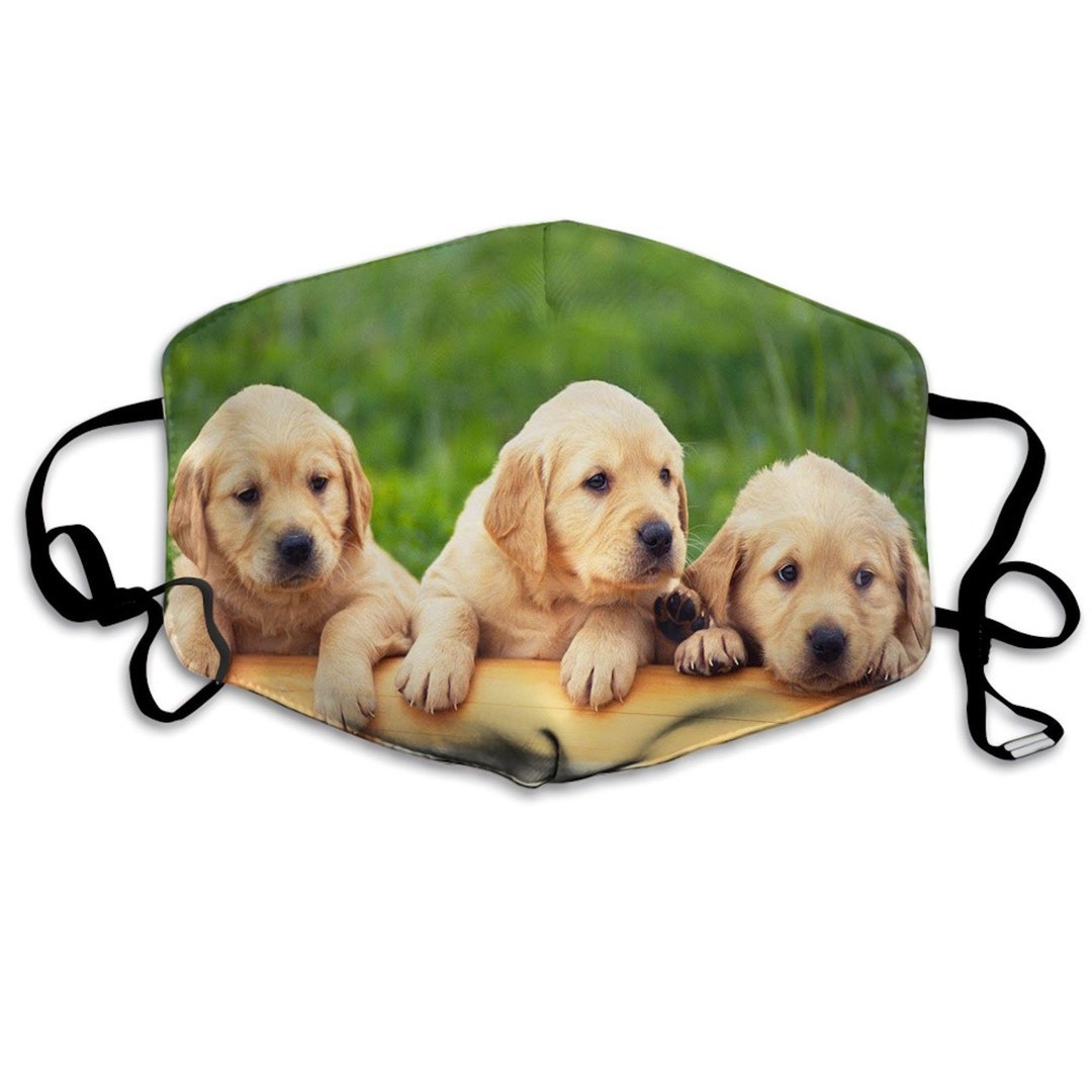 Yellow Labrador Puppies Mask Adjustable Face Mask With 2 Carbon Filters ...